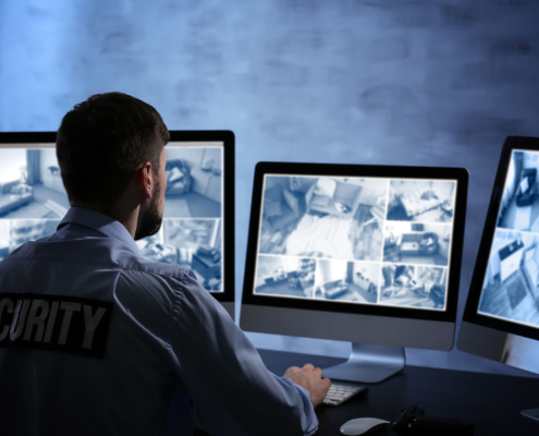 Safeguarding Your Assets With Live Guard Security | ANI